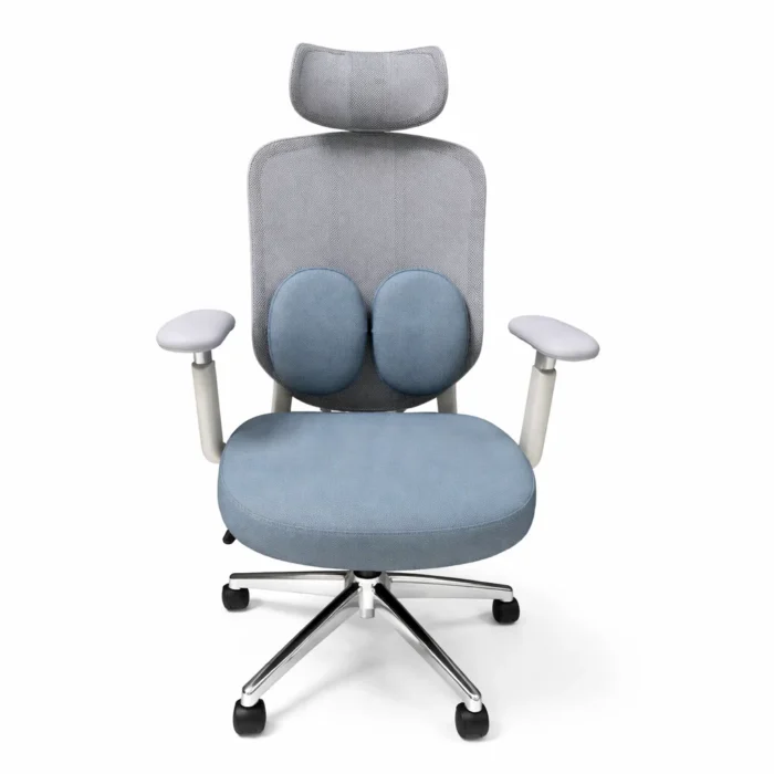 Beans Mesh Ergonomic Chair